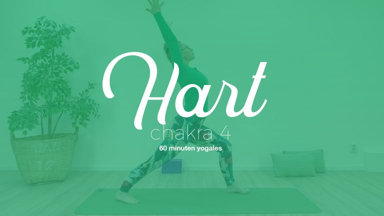 Alle Chakra's af in 7 meditaties met mudra en 7 yogalessen - Online Yoga